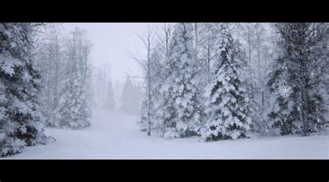 These Unreal Engine 4 Forest Renders Give Cryengine Something To Worry
