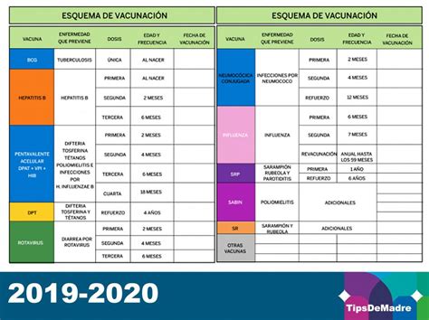 Calendario De Vacunación México Tips De Madre