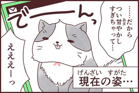 成れの果てなれのはて｜漫画で慣用句の意味・使い方・例文【かくなび】