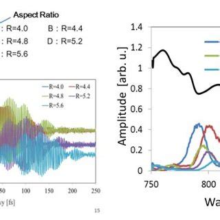 Fringe Resolved Cross Correlation Functions Fig 3 Response Functions