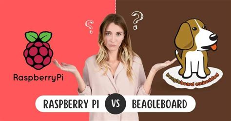 Beaglebone Vs Raspberry Pi Which One Is More Versatile Electronic Smith