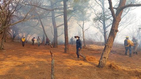 Imparable La Ola De Incendios Forestales En Oaxaca Nvi Noticias