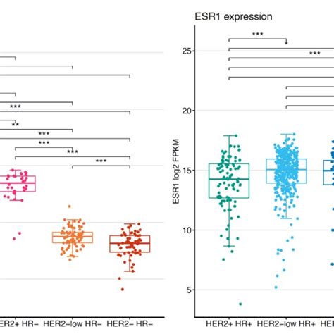 Erbb2 And Esr1 Gene Expression According To Breast Cancer Subtypes N