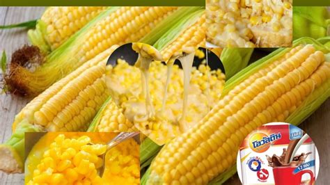 เชิญแซ่บ อาหารอีสาน 2 สั่งอาหารเดลิเวอรี Wongnai X Line Man