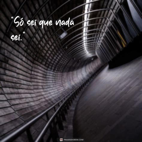 Descubra As Melhores Frases De Sócrates Para Inspirar Sua Vida Frases