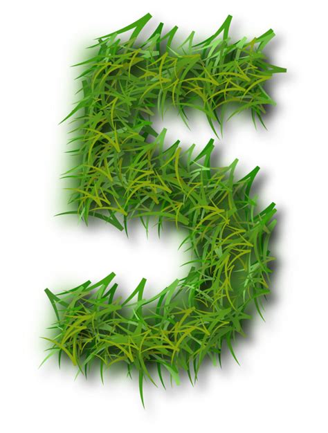 Number 5 Grass Clipart 54574252 Png
