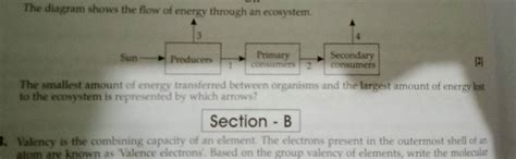 The Diagram Shows The Flow Of Energy Through An Ecosystem Filo