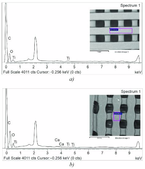 Sem Micrographs Showing Grid Morphology Pore Size And Surface
