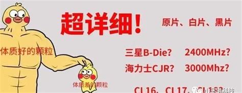 ddr4单颗粒最大 超详细！搞懂内存条颗粒频率时序，附ddr4内存条推荐 csdn博客