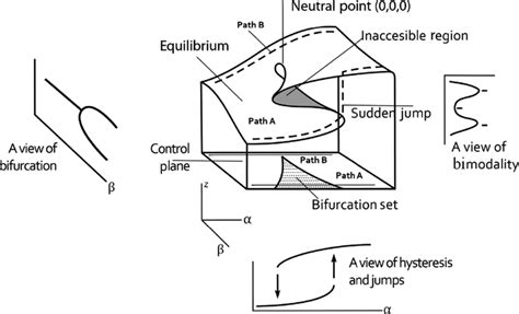 The Smooth Folded Surface Of The Cusp In Three Dimensions Z Represents