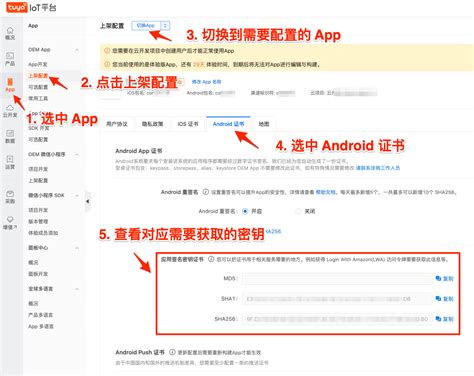 申请高德地图 Key 涂鸦开发者平台 涂鸦开发者