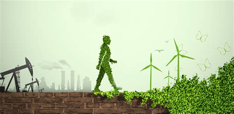 17 Best Carbon Offset Programs Find The The Right One For Youbalanced Earth