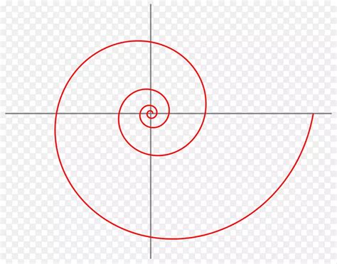 对数螺旋阿基米德螺旋金色螺旋 简单螺旋png图片素材下载 图片编号4791993 Png素材网
