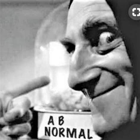 Conversations With Maple Pearls Of Wisdom From A Goldendoodle Me Are You Gonna Help Us Load