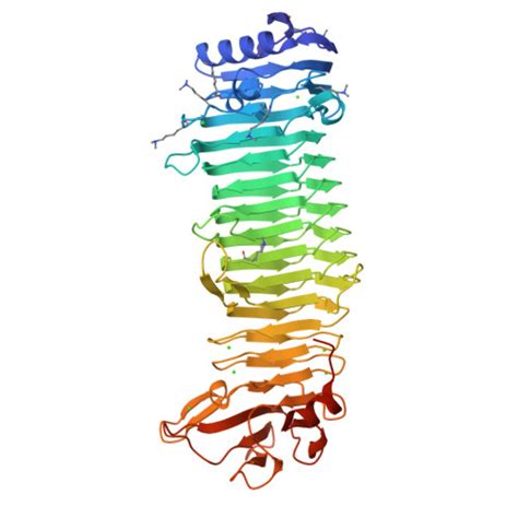 Rcsb Pdb 8jaz Structure Of The Alginate Epimeraselyase Complexed With Di Mannuronic Acid