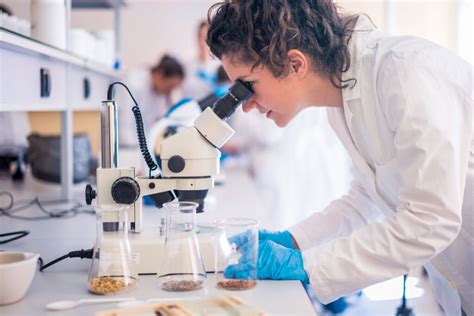 7 Steps To A Successful Lab Relocation Armstrong Raleigh