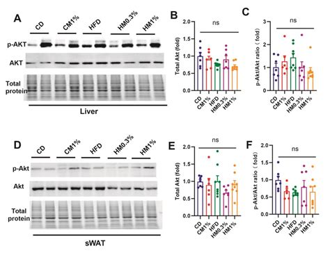 Figure S2 Phosphorylation Of Akt In Liver And Swat Collected At Gd185