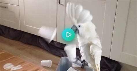 `cos Fuck Youm`kay  On Imgur