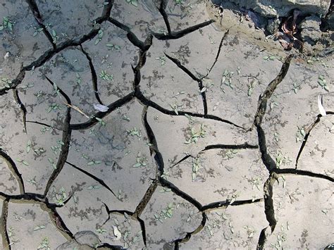 Mud Earth Mud Swamp Photo Background And Picture For Free Download