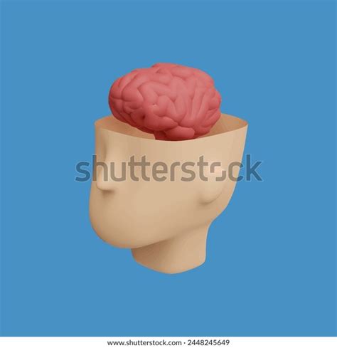 Anatomy Human Concept Realistic 3d Object Stock Vector Royalty Free 2448245649 Shutterstock