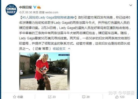 5人因抢劫lady Gaga宠物狗被逮捕 知乎