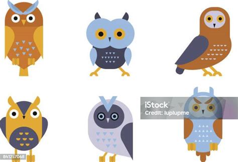 Ilustración De Dibujos Animados Búho Pájaro Lindo Personaje Símbolo