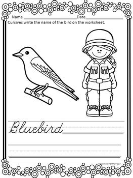 Cursive Writing Names Of Many Birds By Donna Thompson TpT