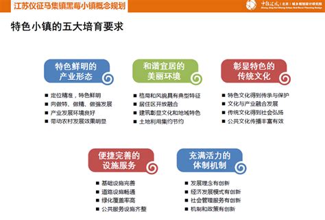 仪征马集黑莓小镇概规 中国产业规划网