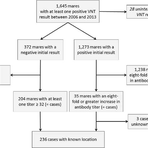 Flow Chart Documenting The Ad Hoc Rules Used To Identify Equine Viral