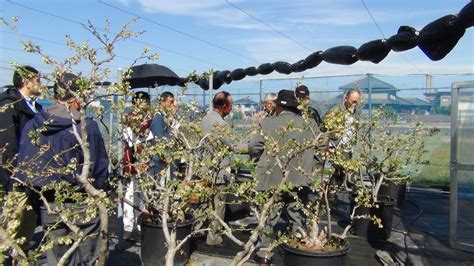 第20回永続農家推進協議会 営農型太陽光情報提供システムcom