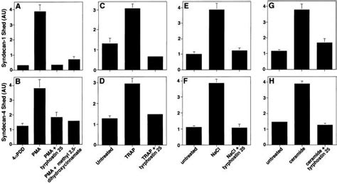 Accelerated Shedding Of Syndecan 1 And 4 Depends On Protein Tyrosine Download Scientific
