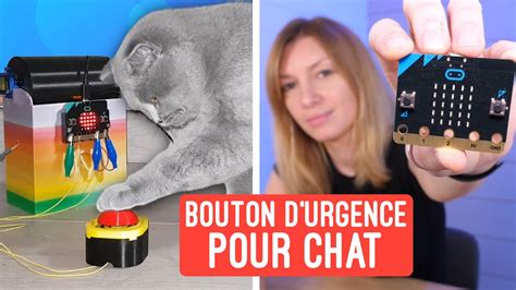 Micro Bit Vous Pouvez Presque Tout Faire Avec Cette Carte