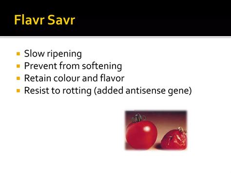 Genitically Modified Food Gmf Pptx