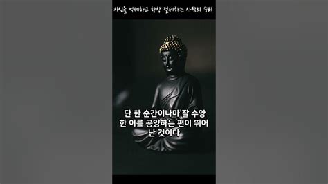 자신을 억제하고 항상 절제하는 사람의 승리 법구경 부처님 말씀 Youtube