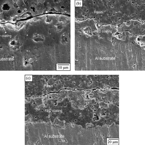 Cross Section Sem Micrograph Of The Coatings Processed For 10 15 And Download Scientific