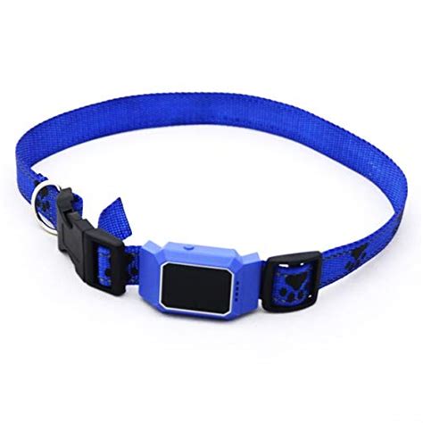 6 Mejores Collares GPS Para Gatos Julio 2025