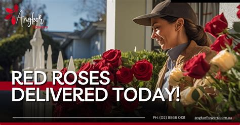 Same Day Roses Delivery Fresh Roses Delivered Today