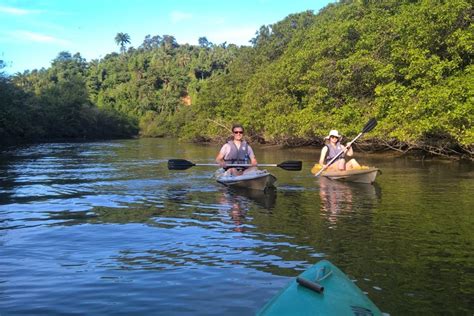 Tour De Caiaque Ao Entardecer Por Paraty Civitatis Brasil