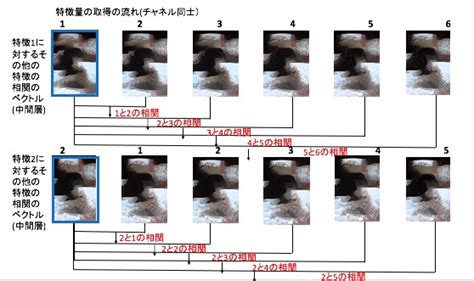 Flow Of Feature Acquisition By Outputting These Results The