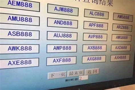 女车主摇到“豹子号”，看清后却一脸尴尬：这咋开出去啊？ 哔哩哔哩
