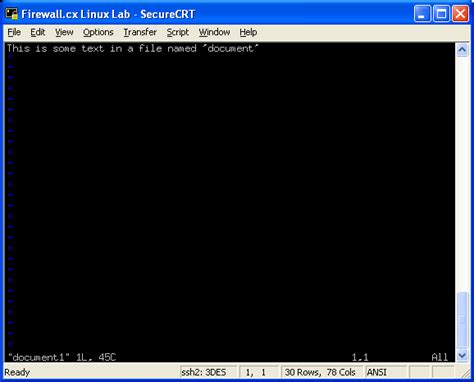 Advanced Linux Commands