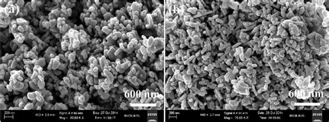 Morphology Of A Unmodified Zno Nanoparticle Zn And B Pva Modified