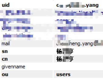 BUG ms系统对接ldap账户密码验证成功填写用户过滤器和ldap属性映射后ldap账户登录不成功 Issue 19850