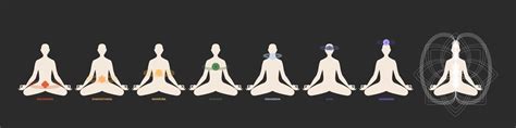 o estado holístico de energia de uma pessoa o estado equilibrado dos