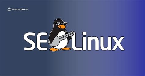 Понимание Selinux на сервере Linux полное руководство