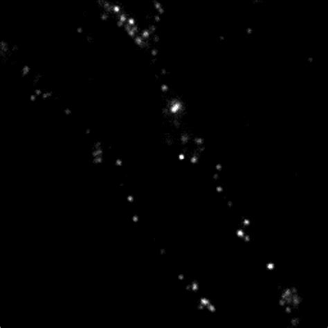 Super Resolution Richard D Berlin Center For Cell Analysis And Modeling