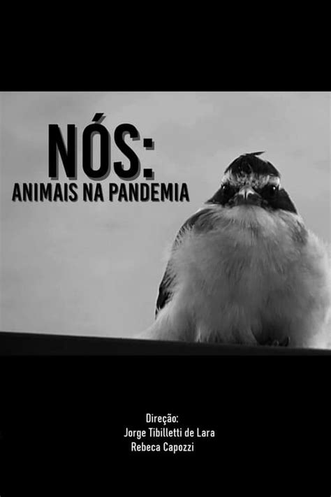 NÓs Animais Na Pandemia 2021 — The Movie Database Tmdb