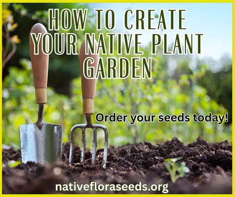 How To Create Your Native Plant Garden