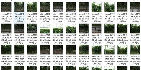 基于yolov11的大棚番茄成熟度检测系统python源码 pytorch模型 评估指标曲线 精美gui界面 腾讯云开发者社区 腾讯云