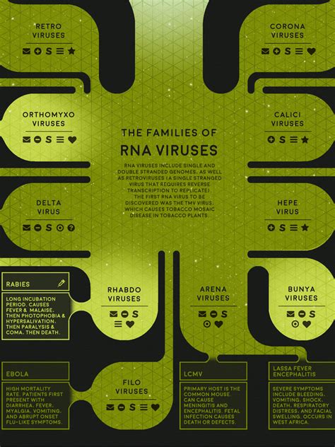 Virus Classification Flowchart Poster Nerdcoremedical